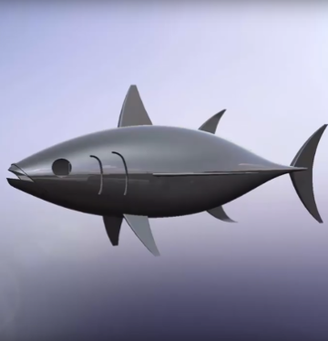 SolidWorks GW3D Tuna | SOLIDWORKS
